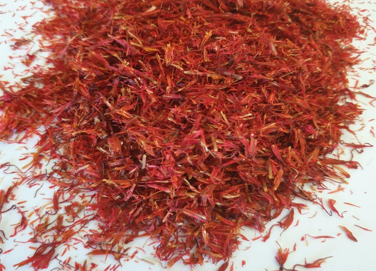 Safflower Petals (Carthamus tinctorius) | Druid Alchemy